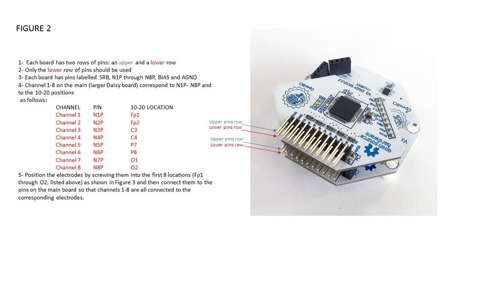 Connecting Mark IV to Cyton (including Daisy Board) — OpenBCI Forum